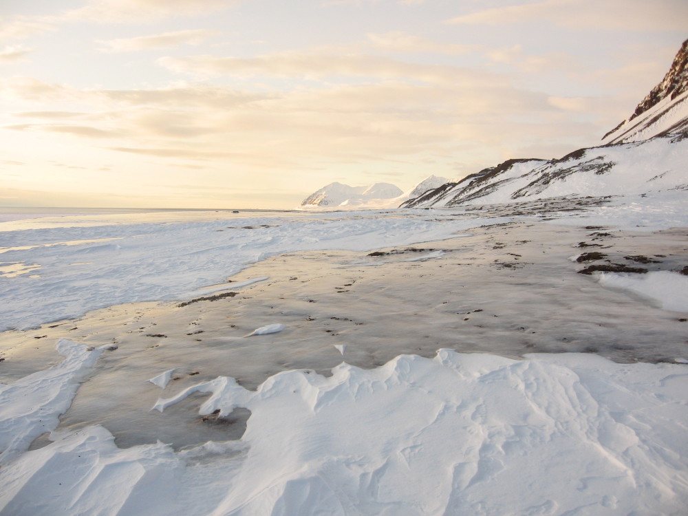 Extreme weather in the Arctic causes problems for people, wildlife