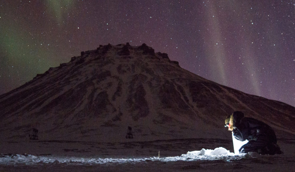 Secrets of the High North