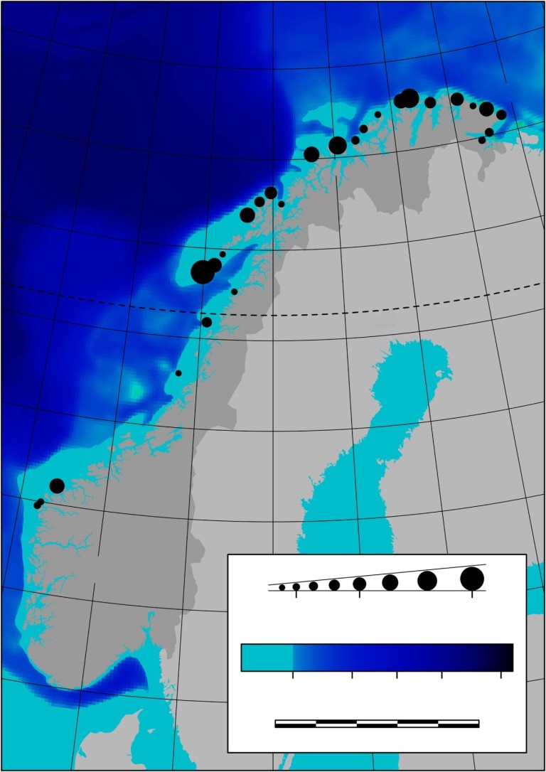 Uncovering the secrets of Arctic seabird colonies