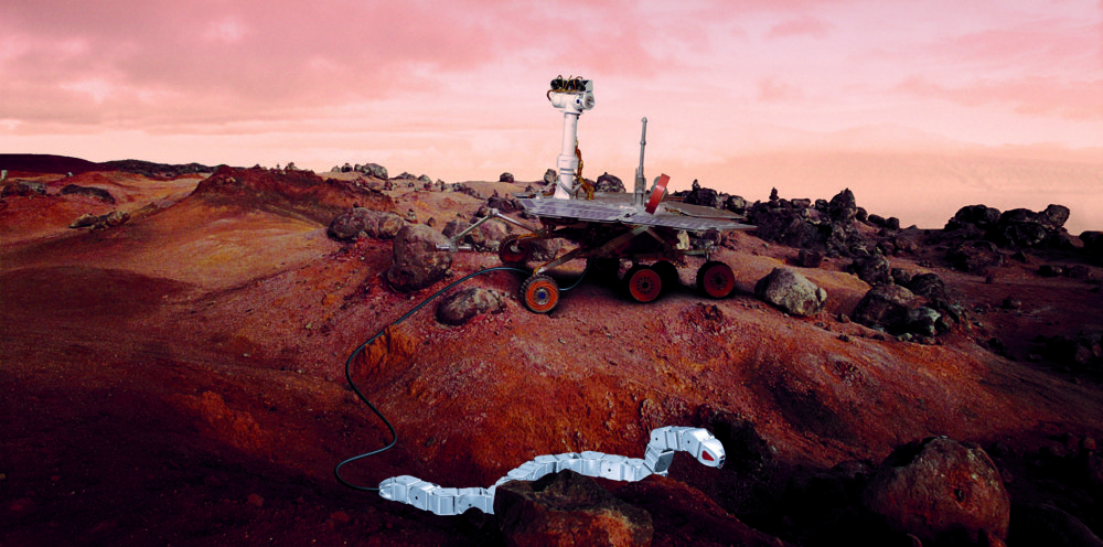 Snake robots in space