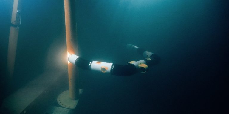 A giant subsea snake robot