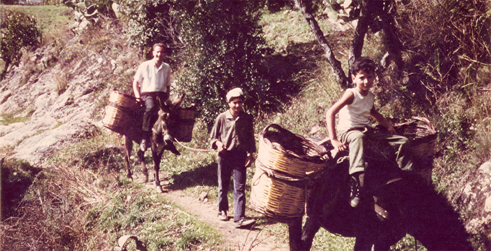 An Italian agricultural community seen through a 50-year-old looking glass