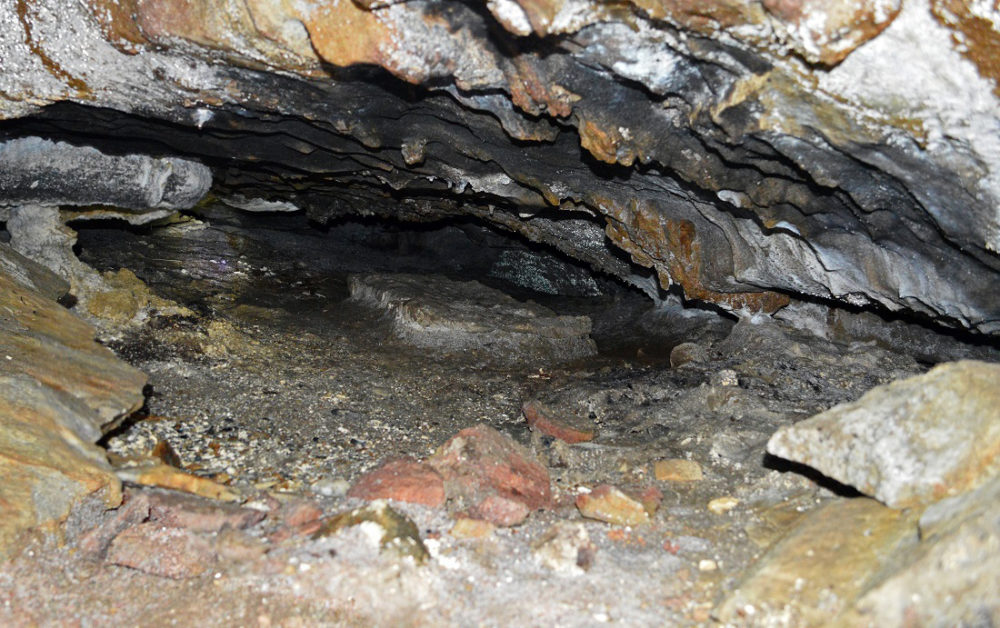 Mystery in the bear cave