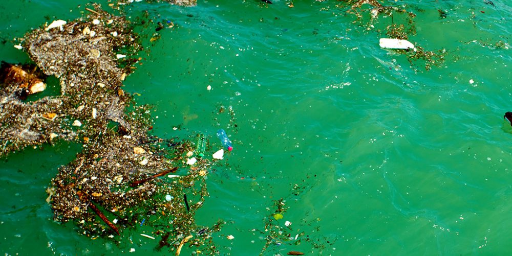 Nine things to know about microplastics