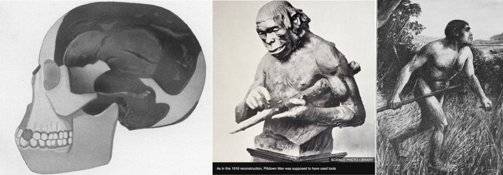 Acclaimed fossils might not depict human evolution