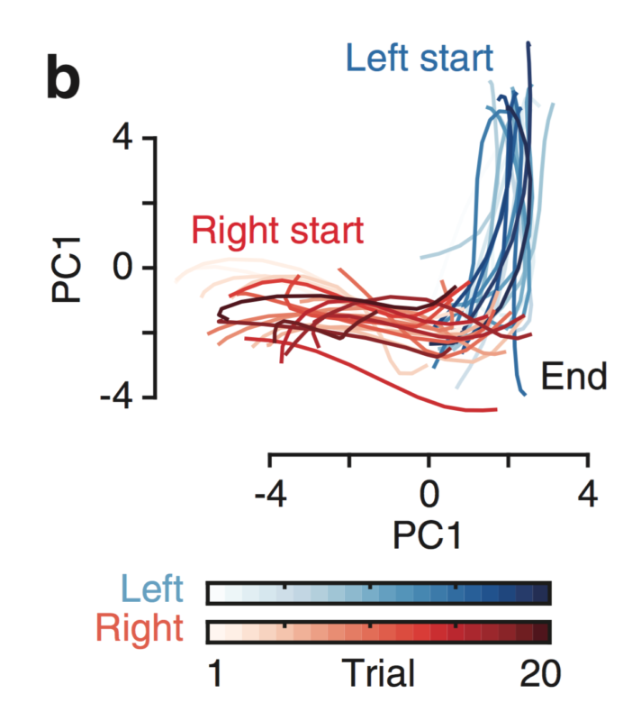 How your brain experiences time