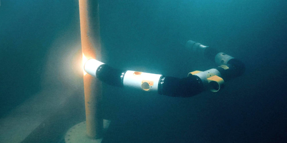 Snake robot ready to go on watch in the deep seas