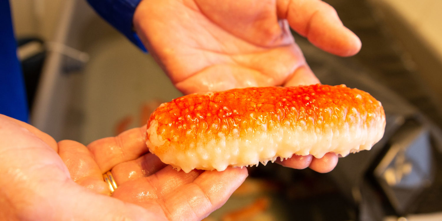 Cracking the code to sea cucumber farming