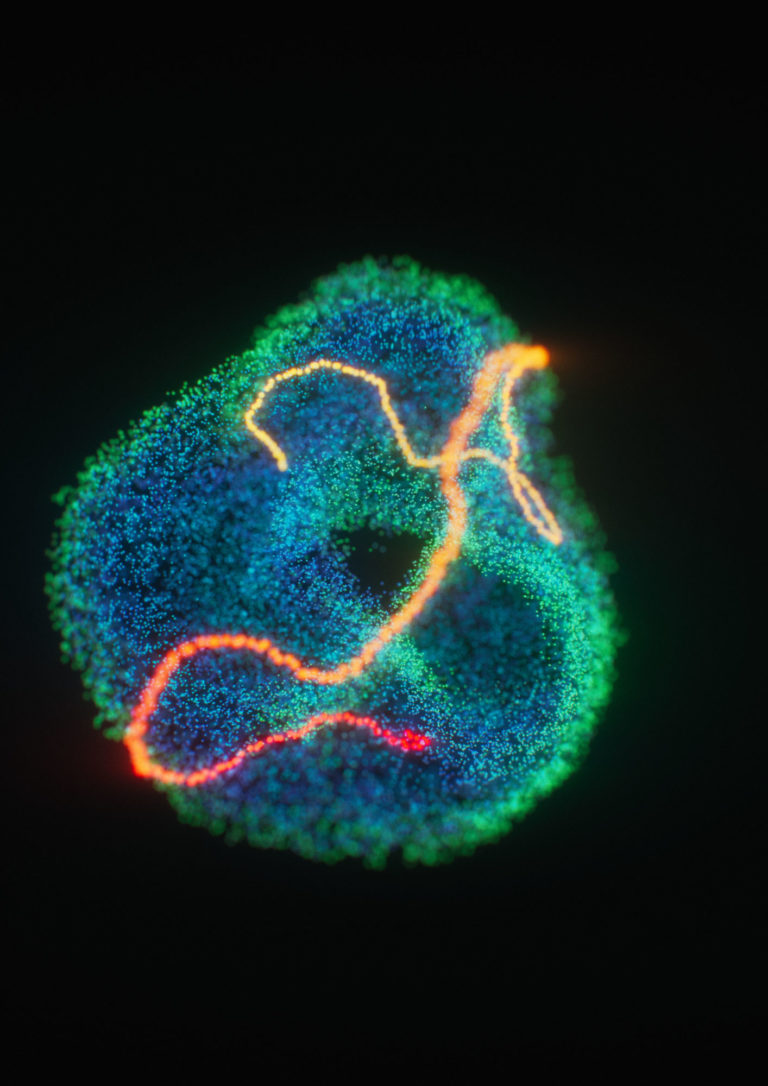 We move along the surface of a doughnut