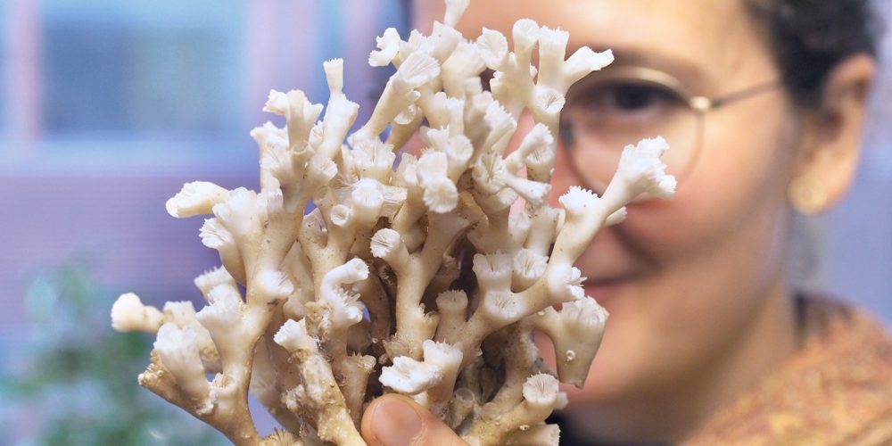 ERC support for coral research