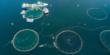 This new vessel concept will assist open ocean aquaculture