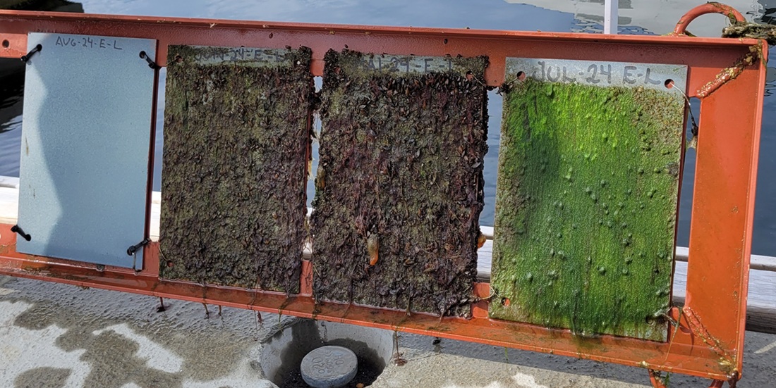 Graphene coatings – an eco-friendly alternative